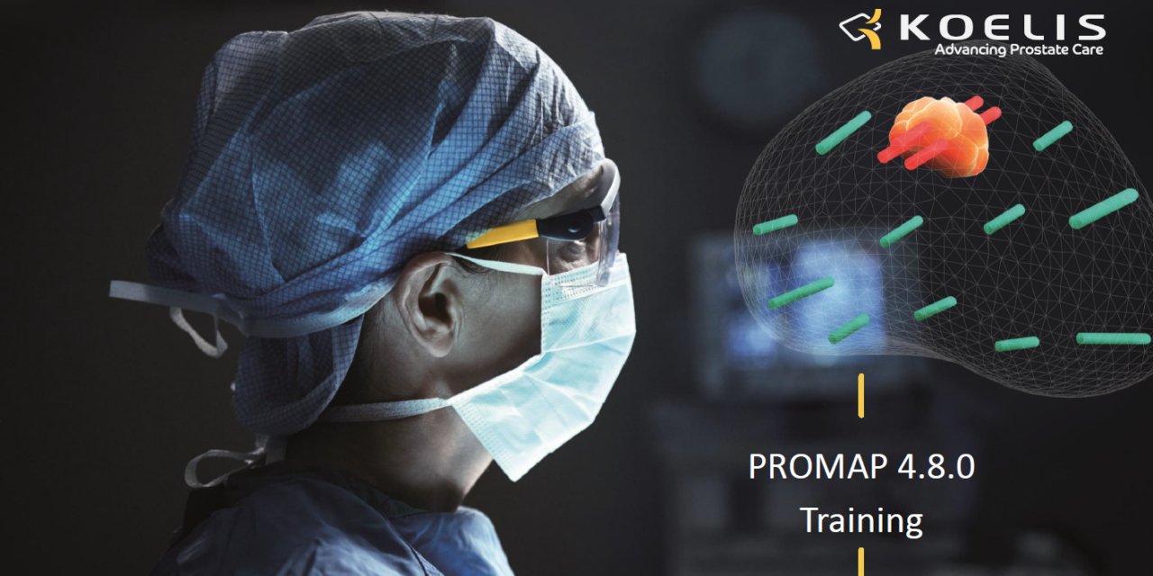 Presentation of Promap 4.8.0 | KOELIS Academy