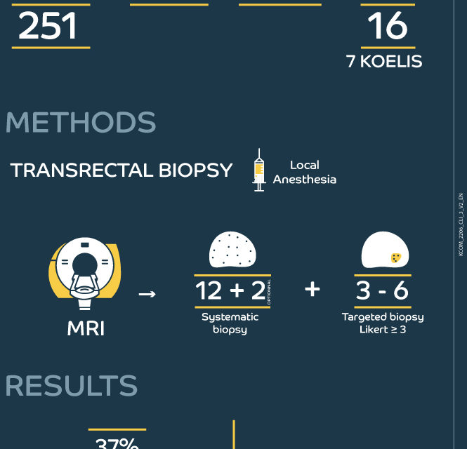 Use of prostate systematic and targeted biopsy on the basis of ...