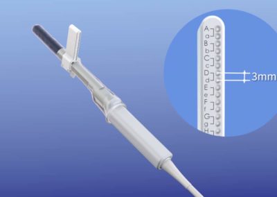 KOELIS Image Library | Koelis Academy