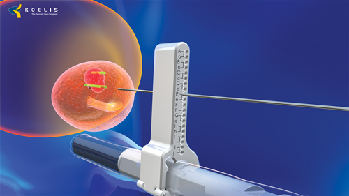 KOELIS Image Library | Koelis Academy