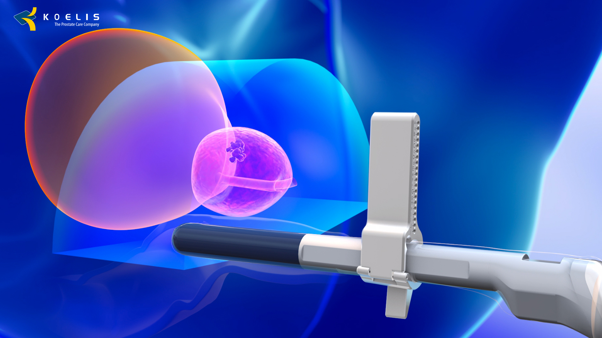 KOELIS Image Library | Koelis Academy