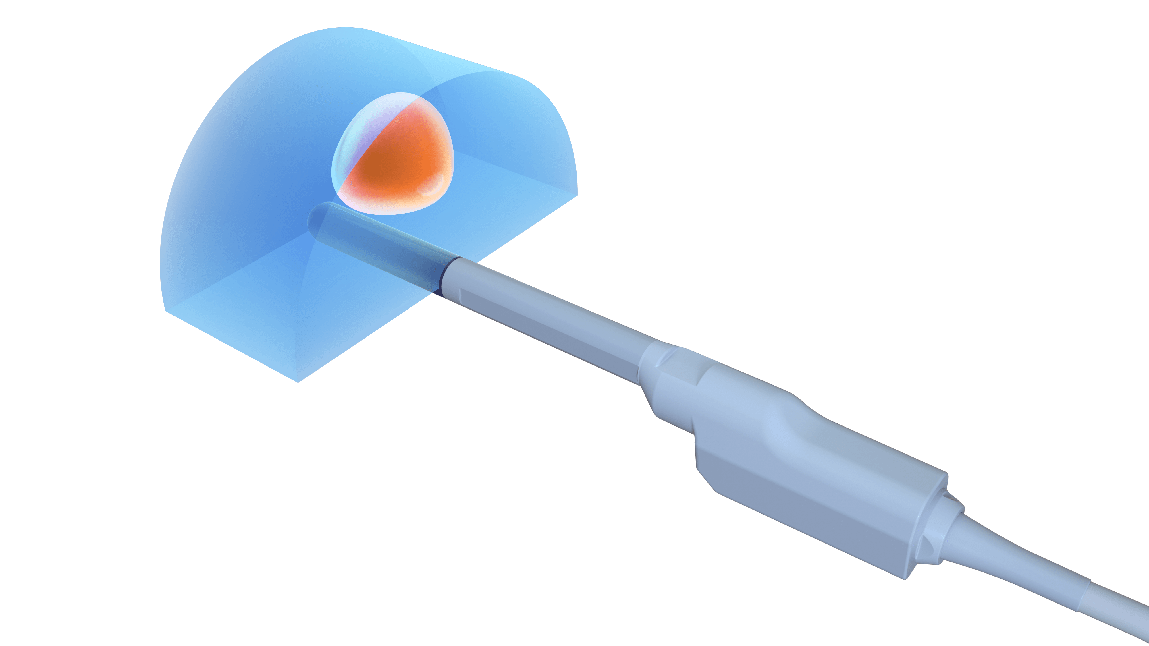 Ultrasound Probes & Transducers